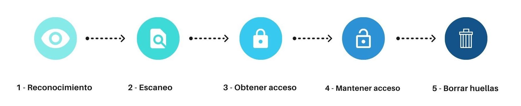 Estas son las cinco fases del hacking ético - Linuxbasico
